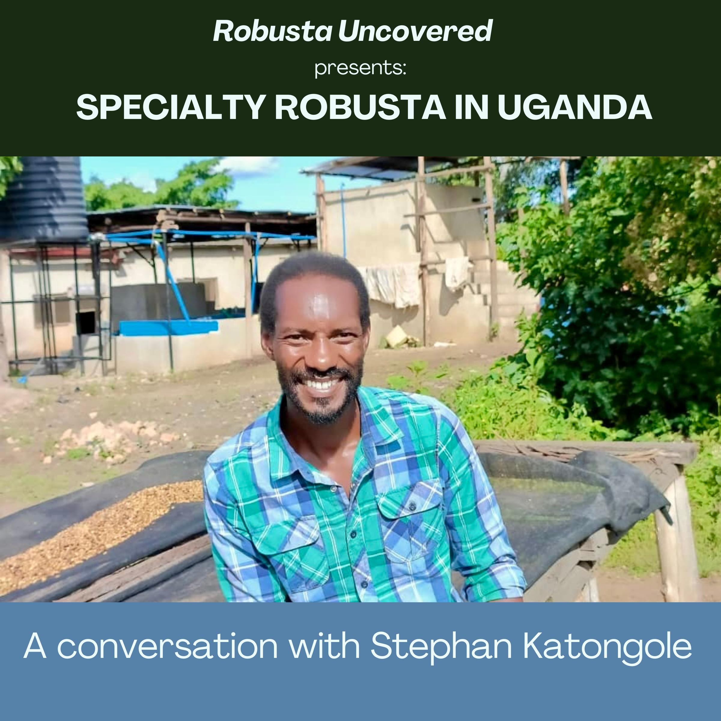 Download Specialty Robusta in Uganda with Stephan Katongole by Robusta ...