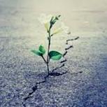 Download Hope by Arthur. | Listen MP3 320 KBPS & WAV for FREE on Audio.com