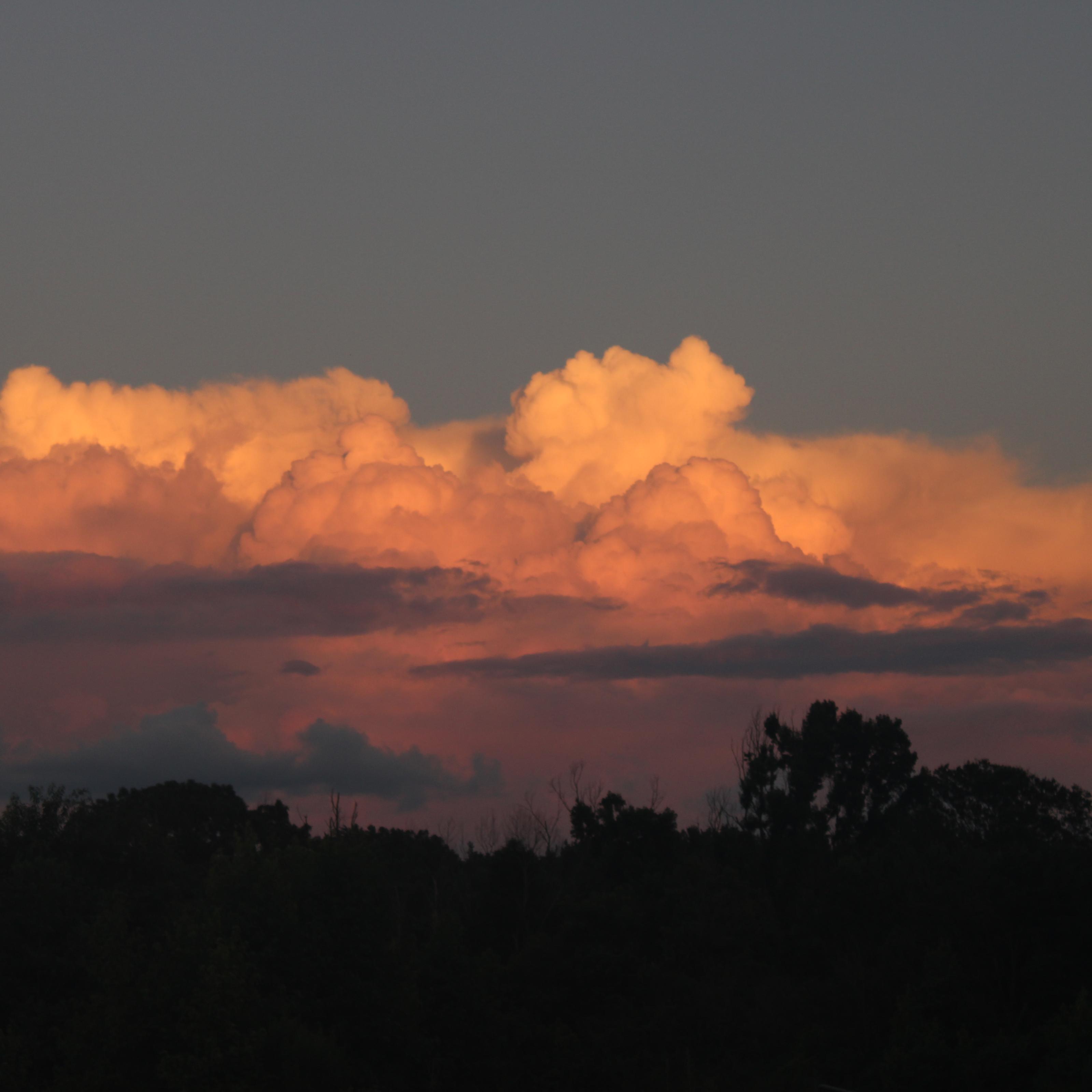 caterpillar & bird | Voice Over by Max Marsh | Listen on audio.com