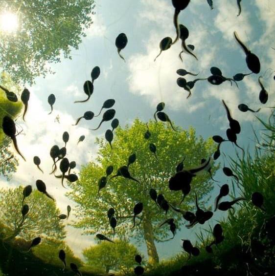 The Sacred Matrix Chapter 3 The Legacy of History | Audiobook by Cat ...