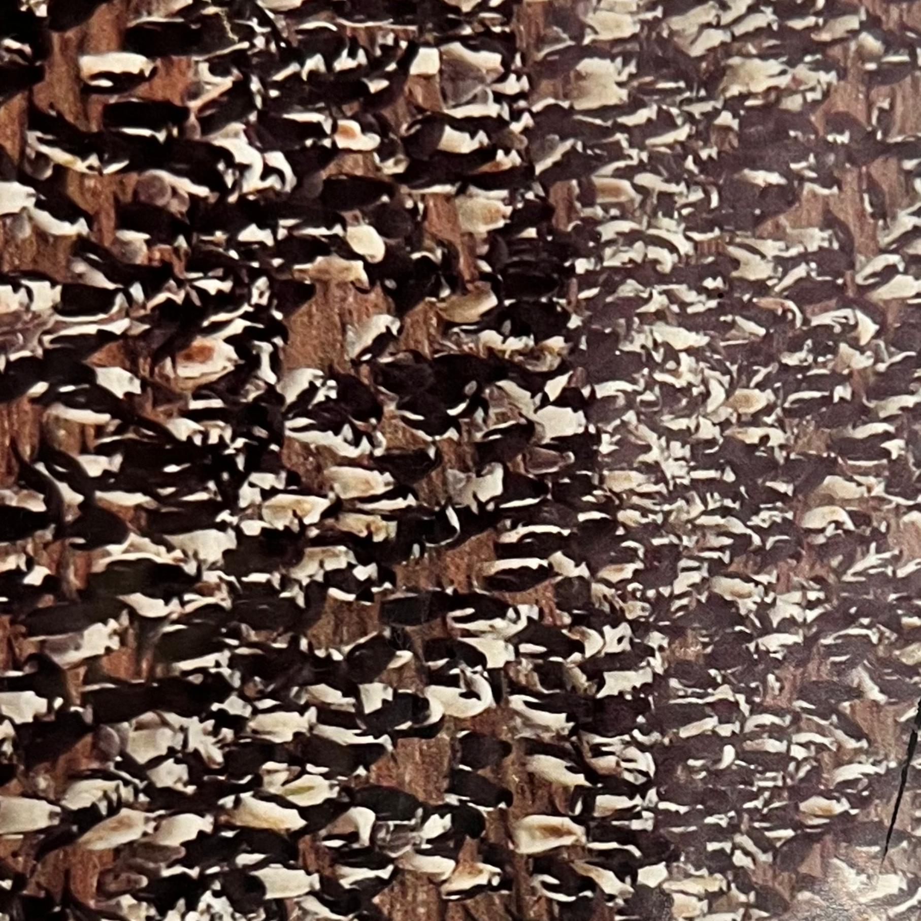 1210 Pandemonius One | Music by Death Smoke | Listen on audio.com