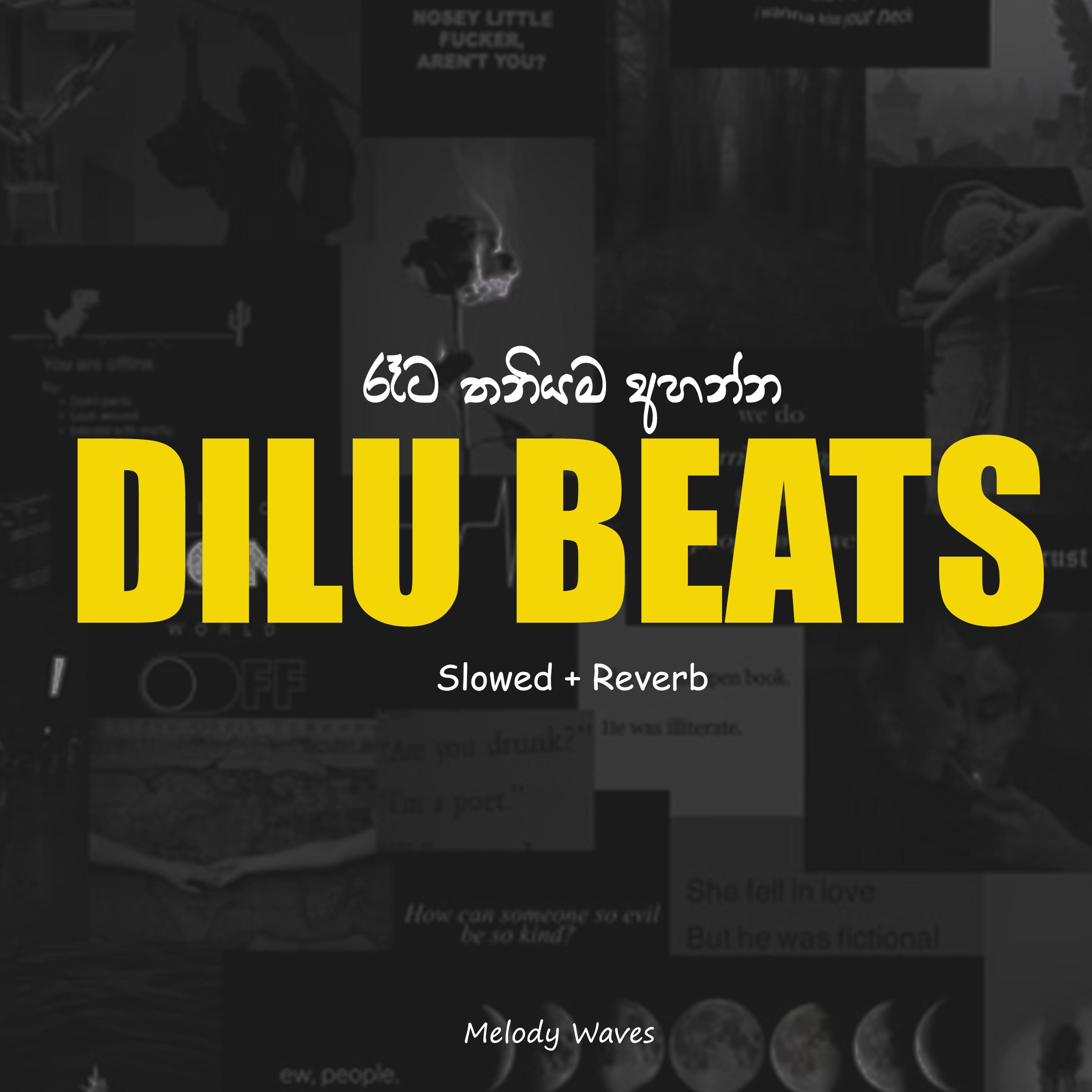 Download Dilu beats song collection _104148 by Melody Waves | Listen ...