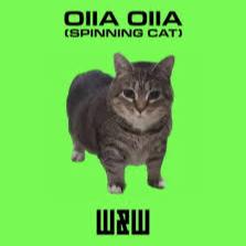 Download W&W - OIIA OIIA (Spinning Cat) [ ezmp3.cc ] by Ashleythegamerz ...
