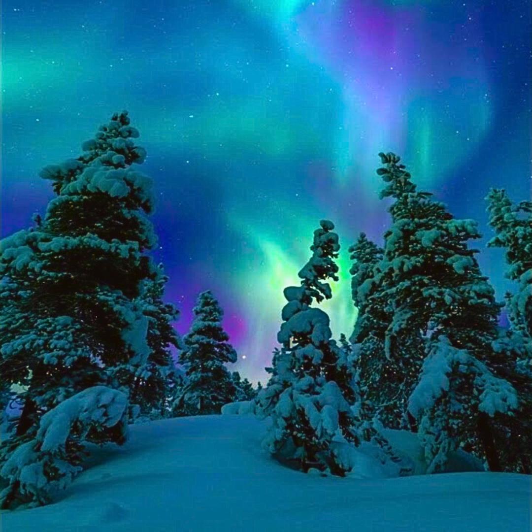 Download Ashreveal - Manasha (Slowed + Reverb) Brazilian Phonk Remix Music by Bass Bin Music ...