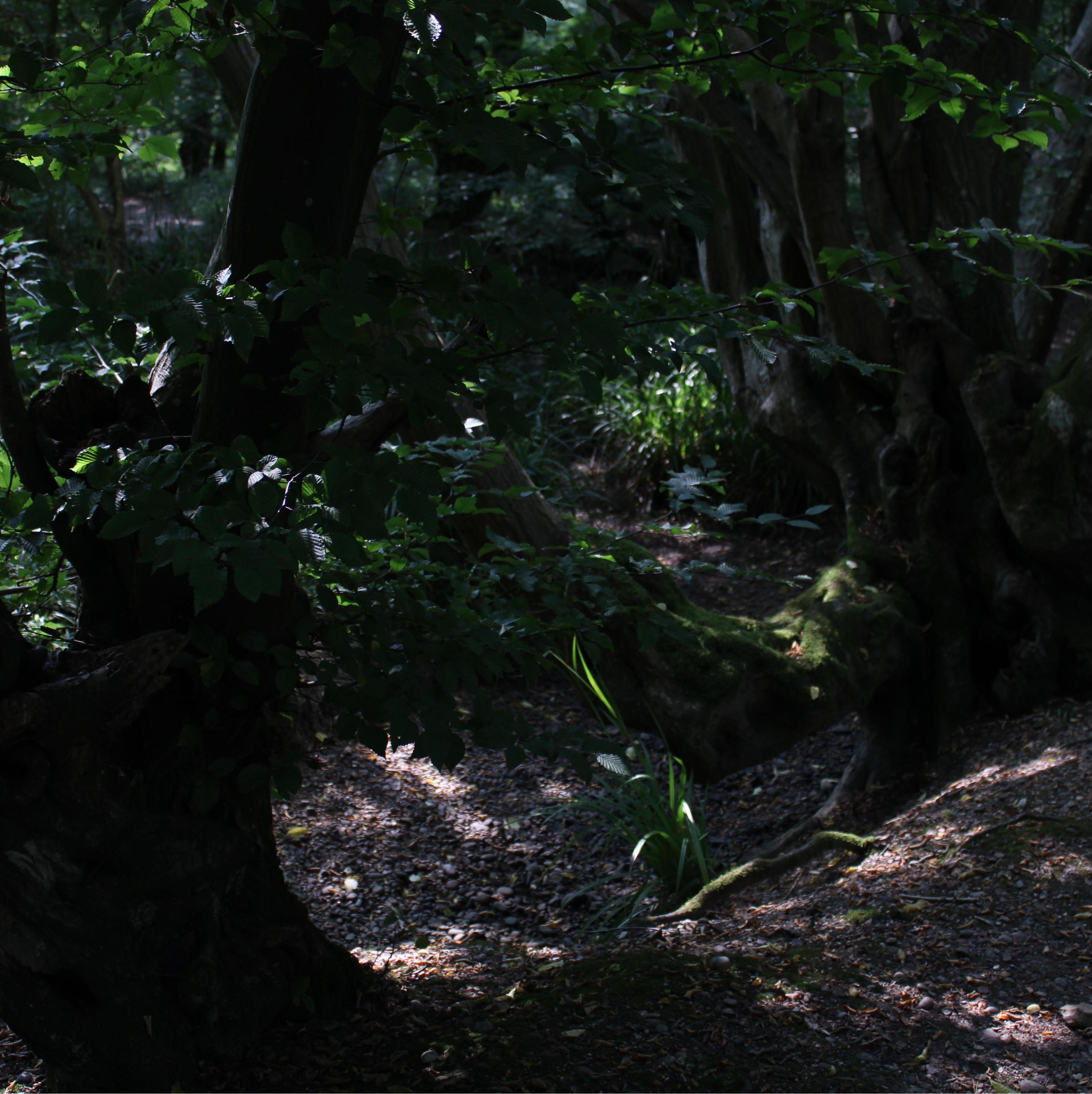 The Cymatic Circus Priest | Music by Adam Harrison | Listen on audio.com