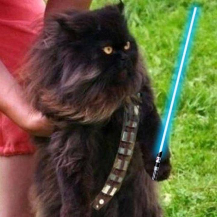 mewbacca love sosa | Music by AndyHAm | Listen on audio.com