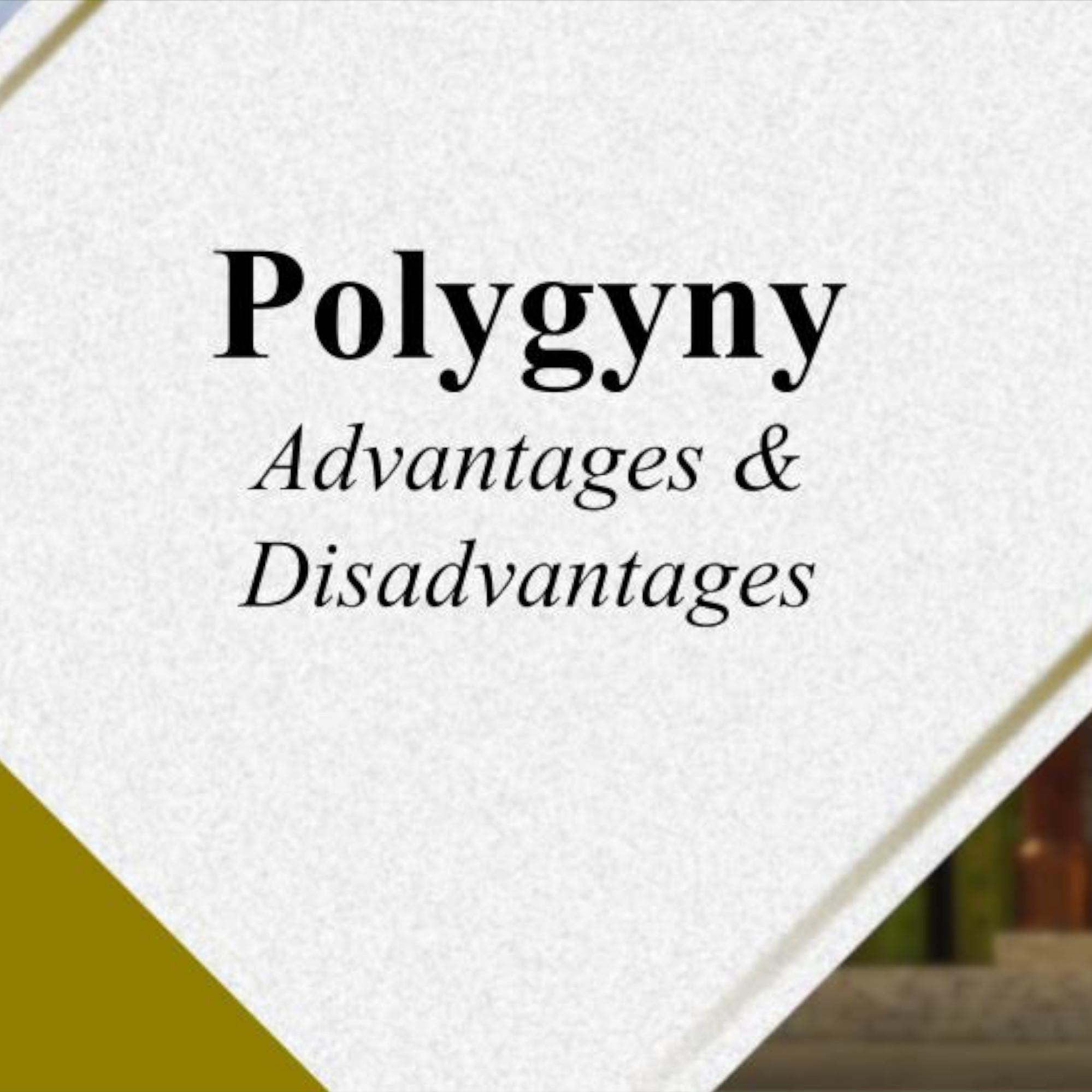 Download Polygyny 106 - Advantages and Disadvantages by God Honest ...