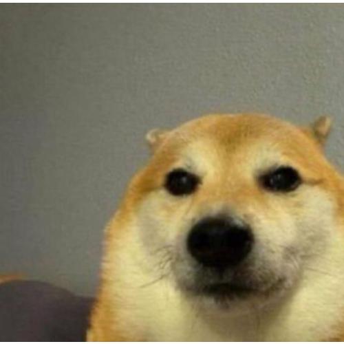 Ethan Park audio | Listen on audio.com