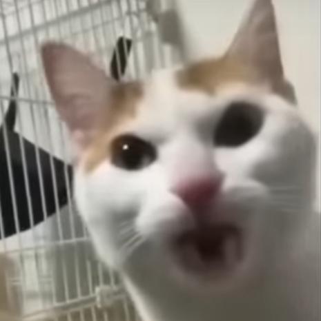 mandude mandude audio | Listen on audio.com