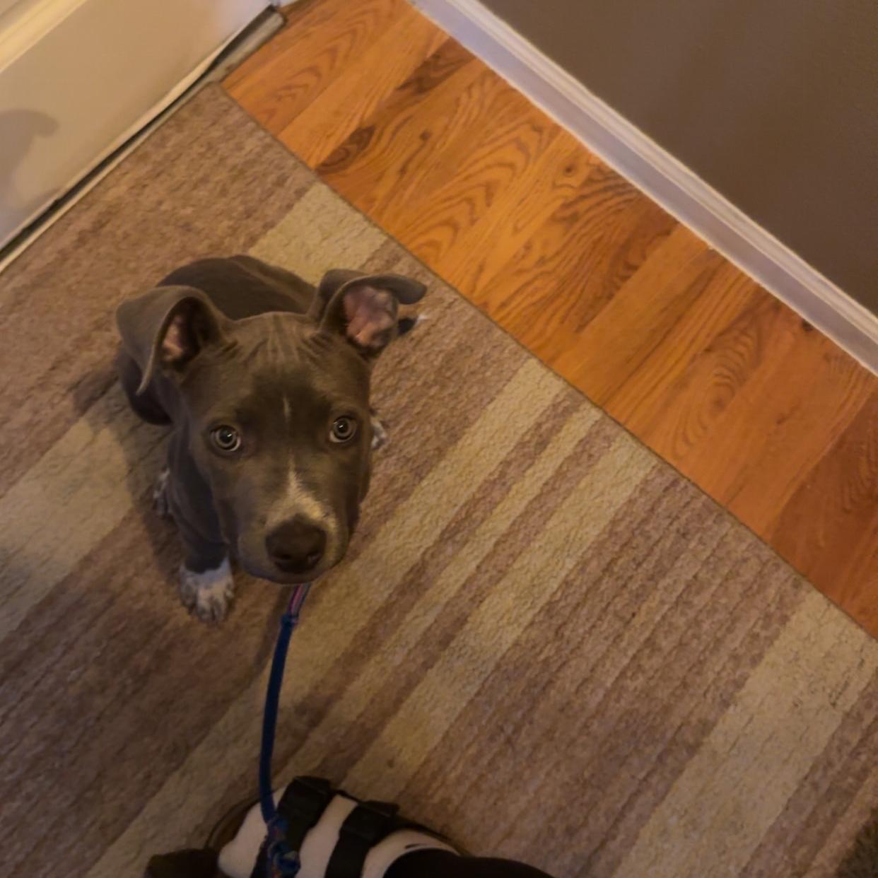 DAX audio | Listen on audio.com