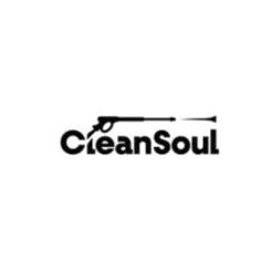 Clean Soul audio | Listen on audio.com