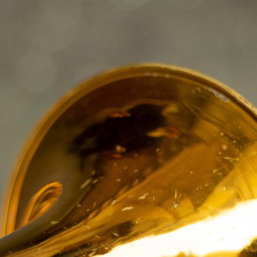 Alex Gregg audio | Listen on audio.com