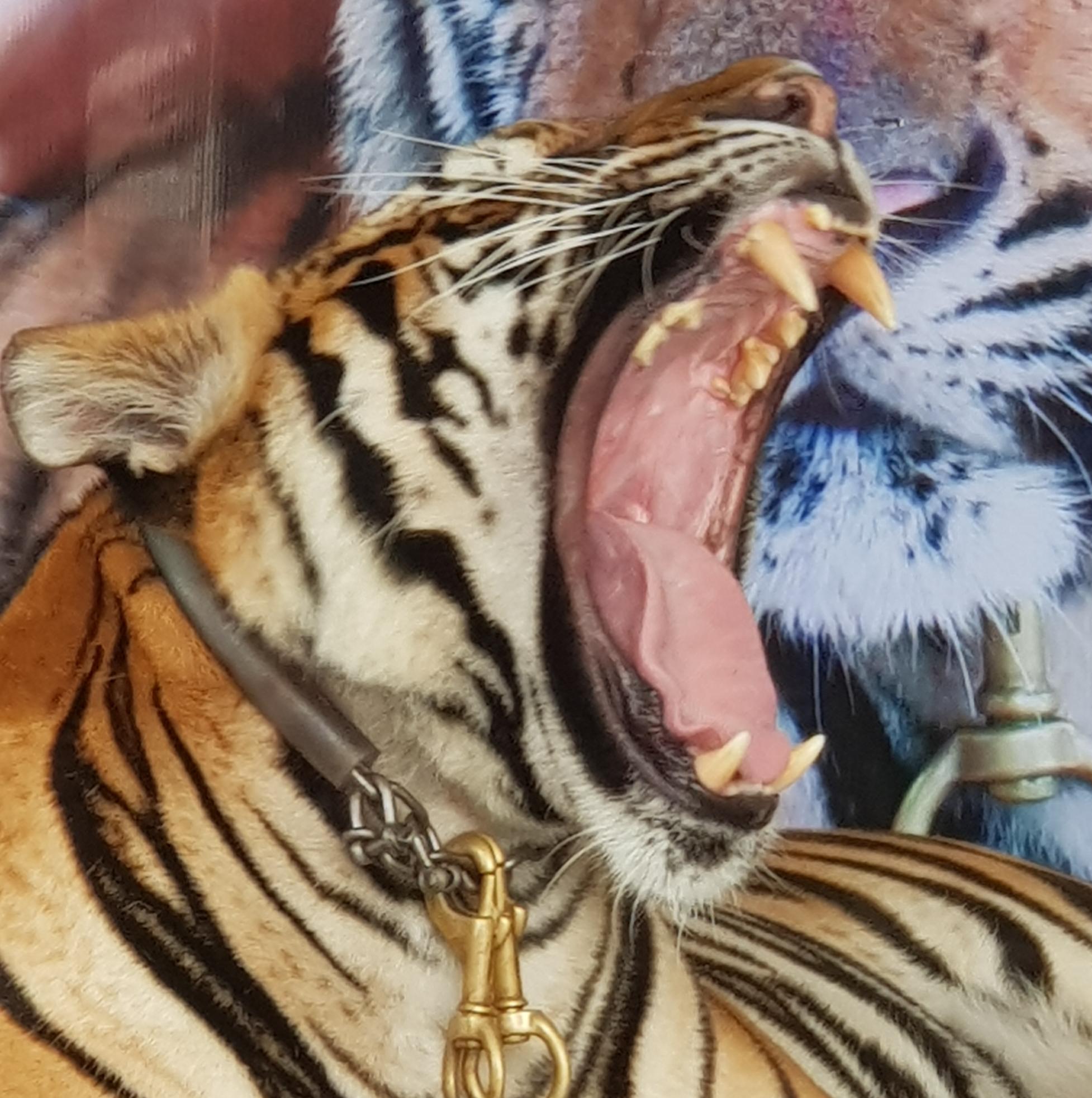 Carla KARLN - CWBK audio | Listen on audio.com