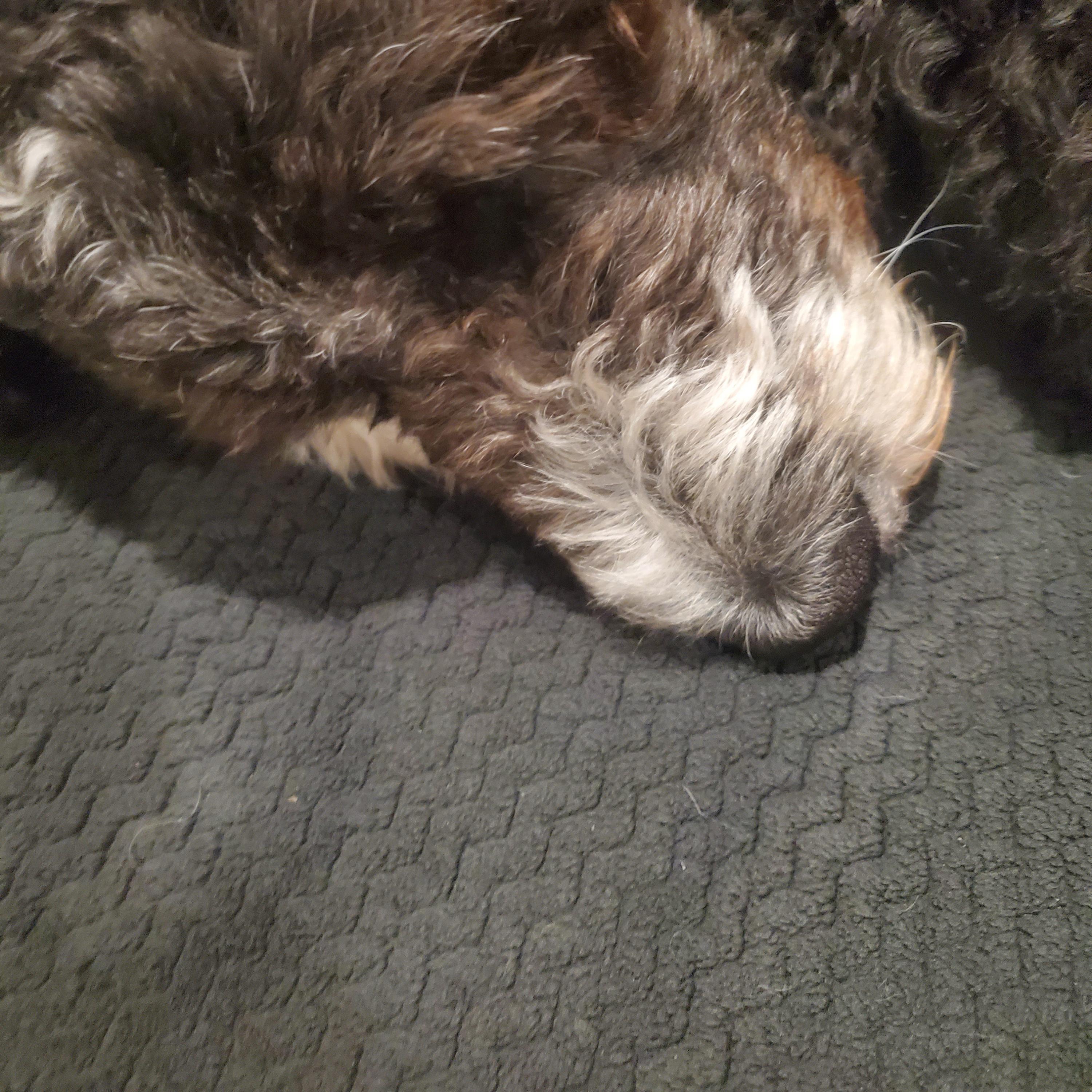 MMEA Remix | Music by Nicholas Jasper | Listen on audio.com