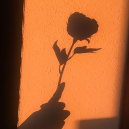 grace-records~ audio | Listen on audio.com