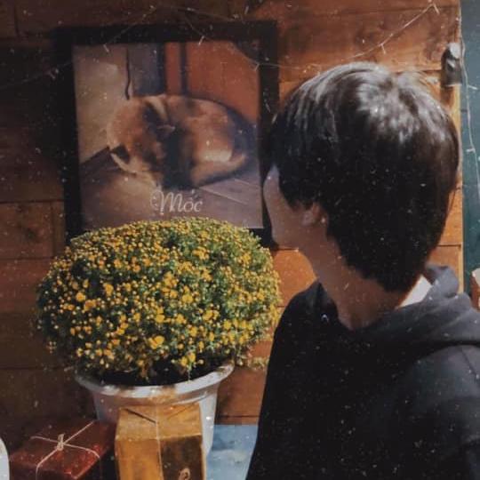 Dinh Loc audio | Listen on audio.com